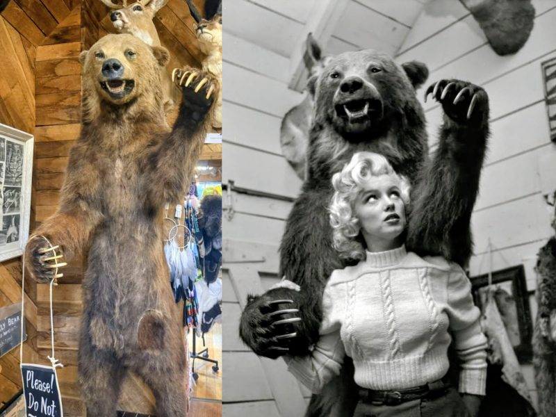 Eddie Hunter Looks Back on Marilyn’s Canada Trip – The Marilyn Report