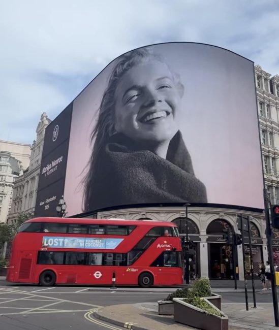 Everlasting Star: Celebrating Marilyn at 100 – The Marilyn Report